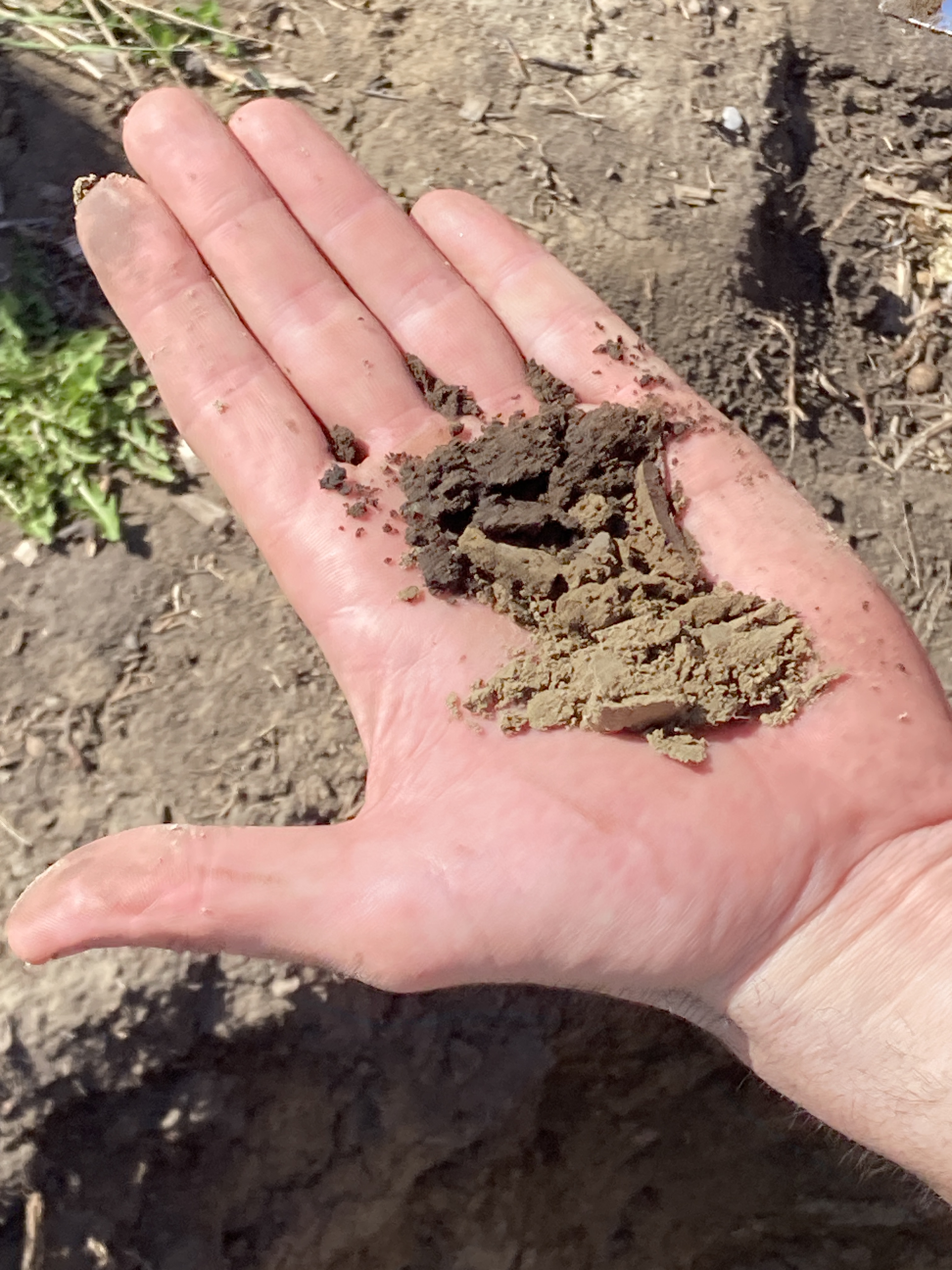 Listen to the stories of the soil — What the soil compaction tells us ...